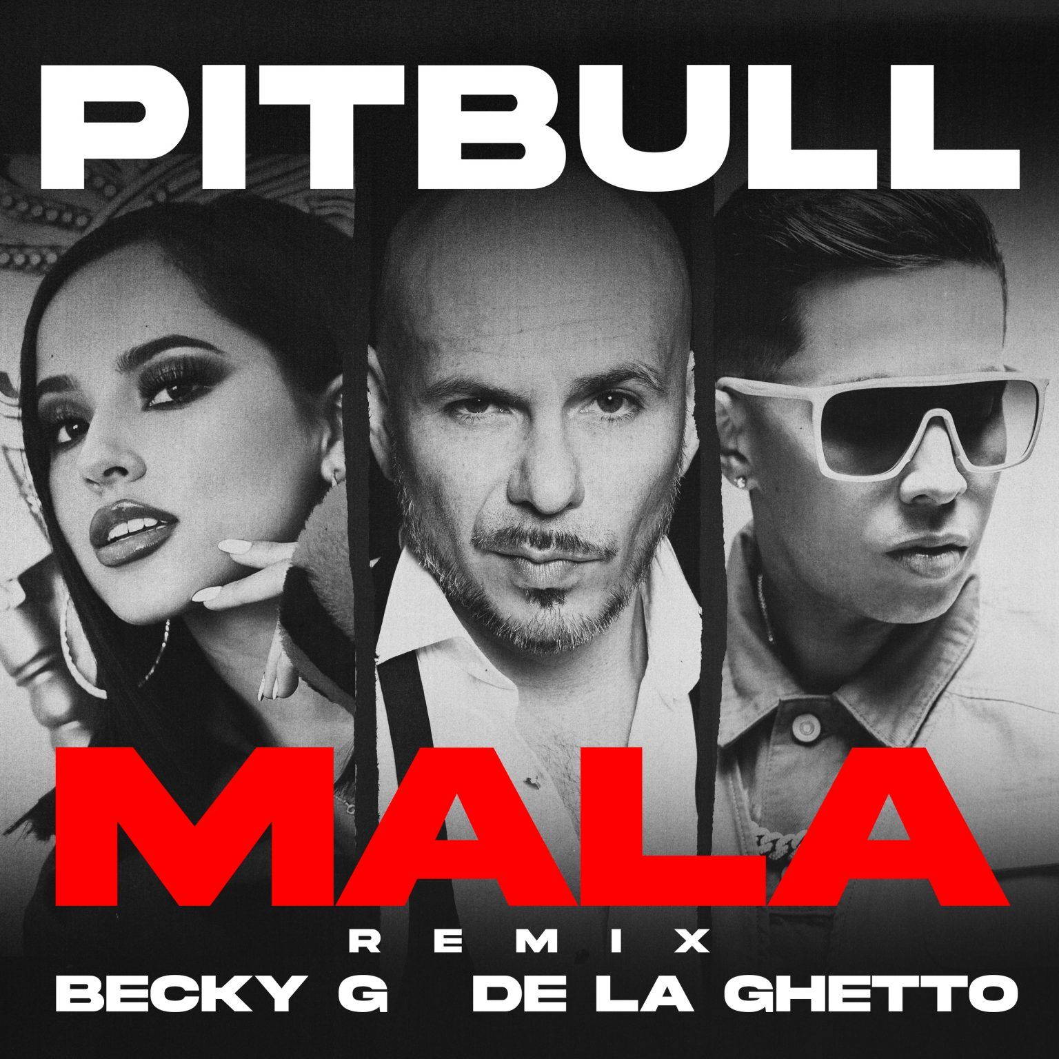 Pitbull | Official Website | Music, Tour Info, Tickets, Merch